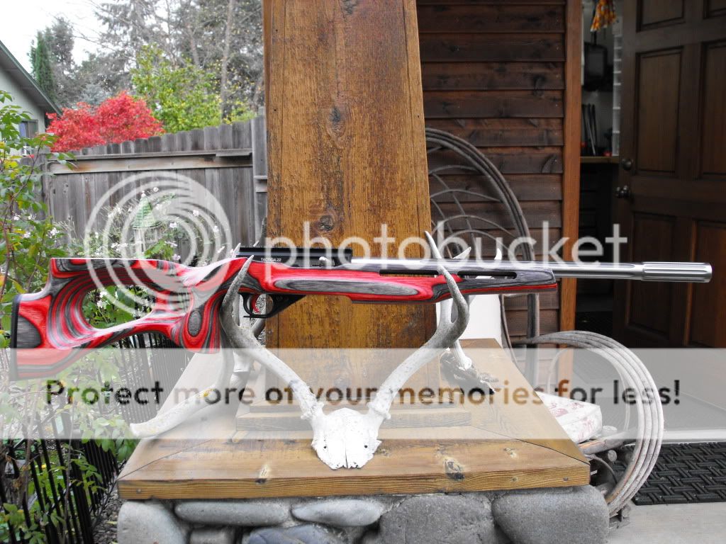 Two More S&G Custom Ultimates | Rimfire Central Firearm Forum