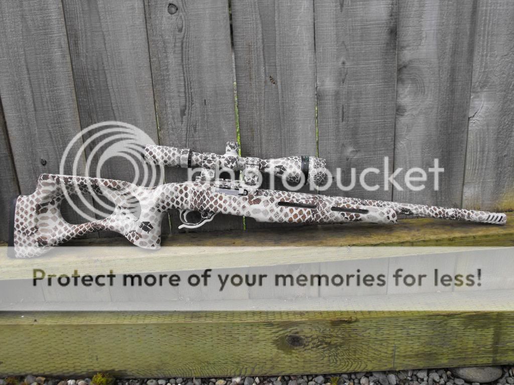 S&G Custom "Snake Bite"-Picture Heavy | Rimfire Central Firearm Forum