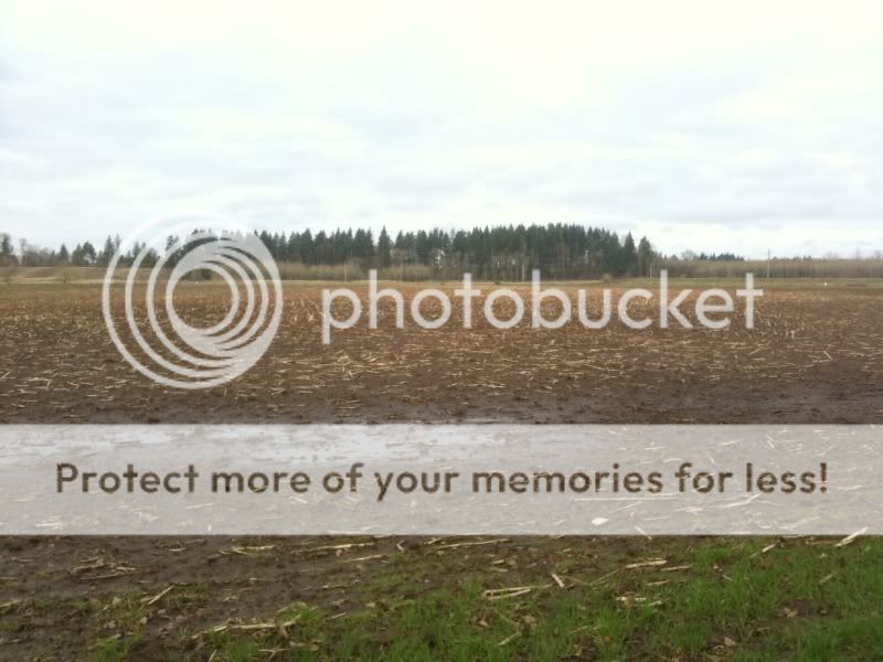 Oregon Sage Rats: A HUNT OF EPIC PROPORTIONS | Page 3 | Rimfire Central ...