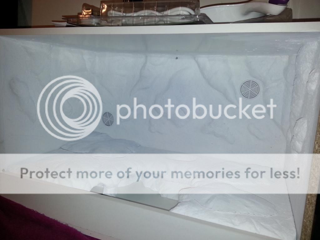 DIY Leopard Gecko Viv Project. | Reptile Forums