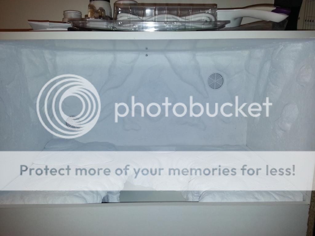 DIY Leopard Gecko Viv Project. | Reptile Forums