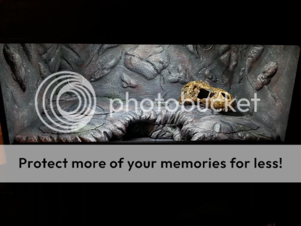 DIY Leopard Gecko Viv Project. | Reptile Forums